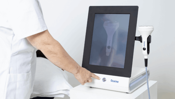 Clasificación de la morfología corporal y la morfología nerviosa